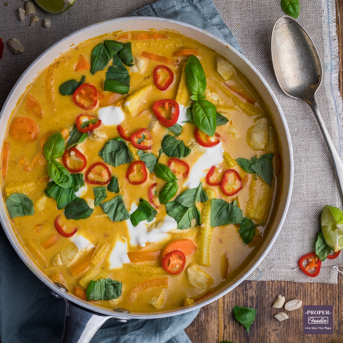 Chicken Panang Curry (+ Video and Step by Step Guide) - ProperFoodie